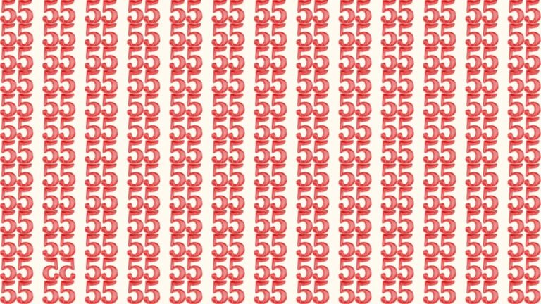 Optical Illusion: Spot the Inverted 55 in 5 Seconds Challenge - eM kAY ...