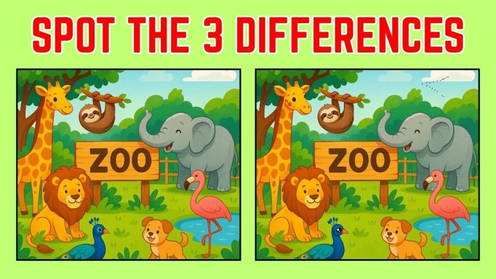 Spot 3 Differences in Zoo Image – Can You Find Them in 10 Seconds? - eM ...